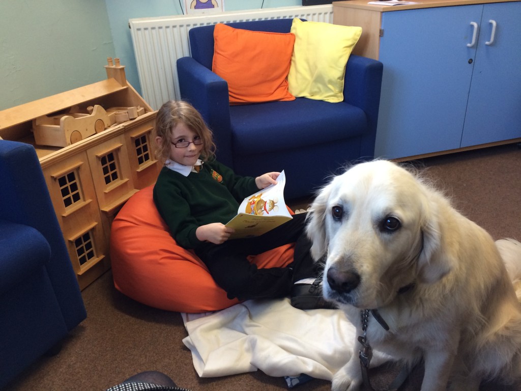 Willow the Reading Dog – St. Matthew's High Brooms CE Primary School